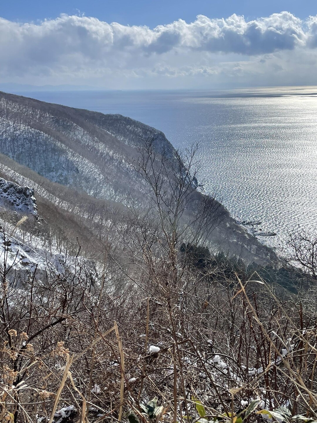 今日も函館山🤙 YAMAP発動忘れ… ... / あーさんさんのモーメント | YAMAP / ヤマップ