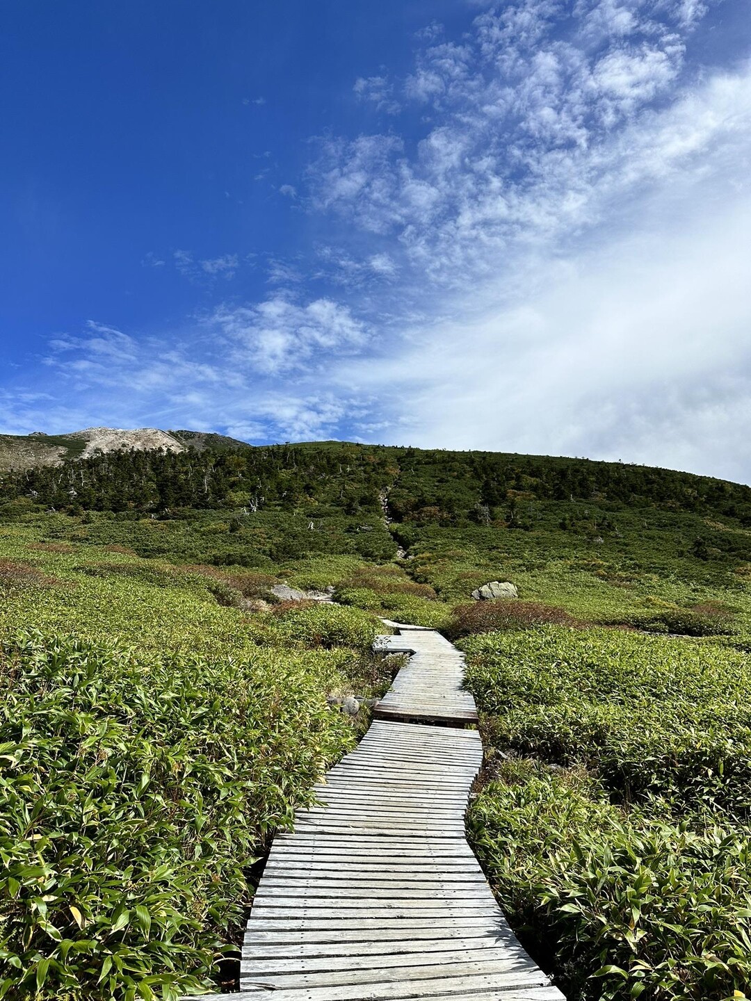 室堂散策 / higeさんの白山・別山・銚子ヶ峰の活動データ | YAMAP / ヤマップ