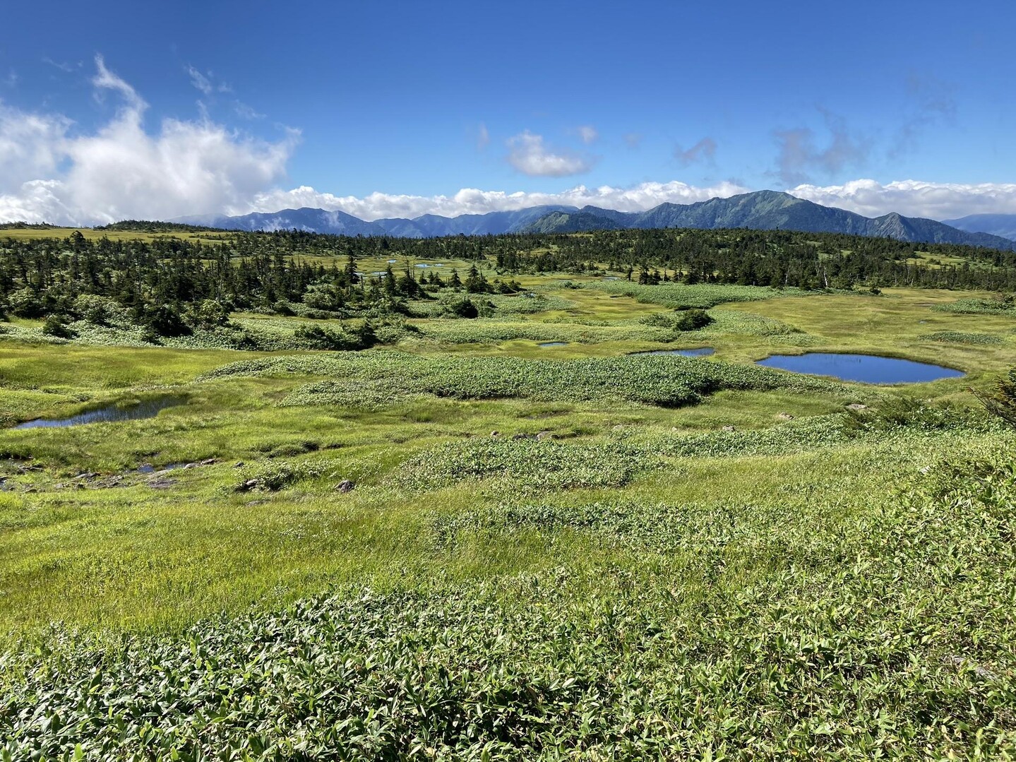 池塘だらけの苗場山 / assiさんの斑尾山・信越トレイル（斑尾山・赤池・希望湖）の活動データ | YAMAP / ヤマップ