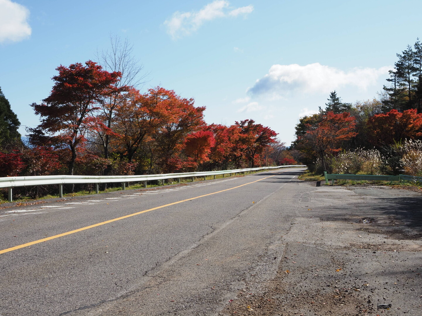 大川入山番外編（https://yama... / とろろさんのモーメント | YAMAP / ヤマップ