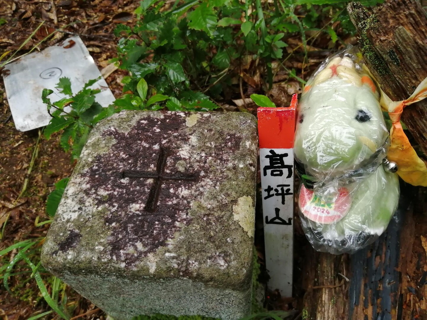 宮谷の頭・高坪山 / yamanobu さんの猿ヶ山・三方山・袴腰山の活動データ | YAMAP / ヤマップ