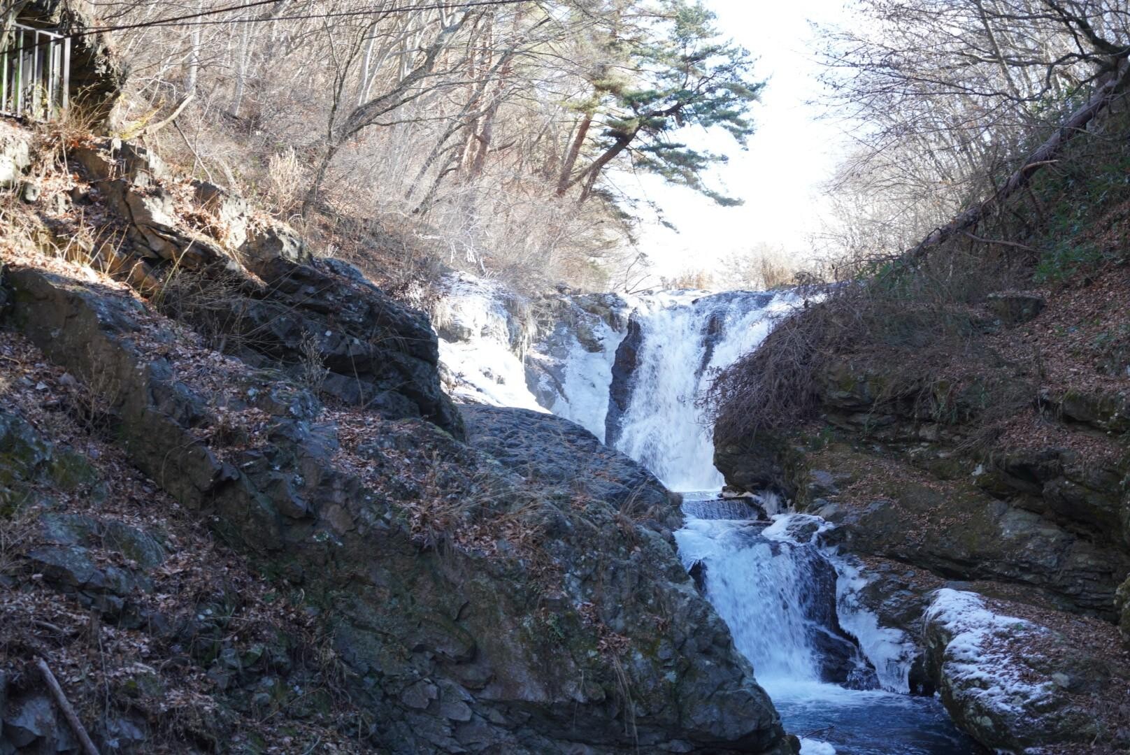 大泉山 / Rikumamiさんの入笠山の活動データ | YAMAP / ヤマップ