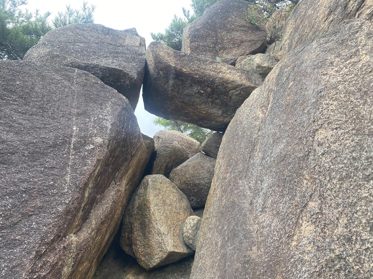 TOSHIさんの投稿したフィールドメモ | YAMAP / ヤマップ