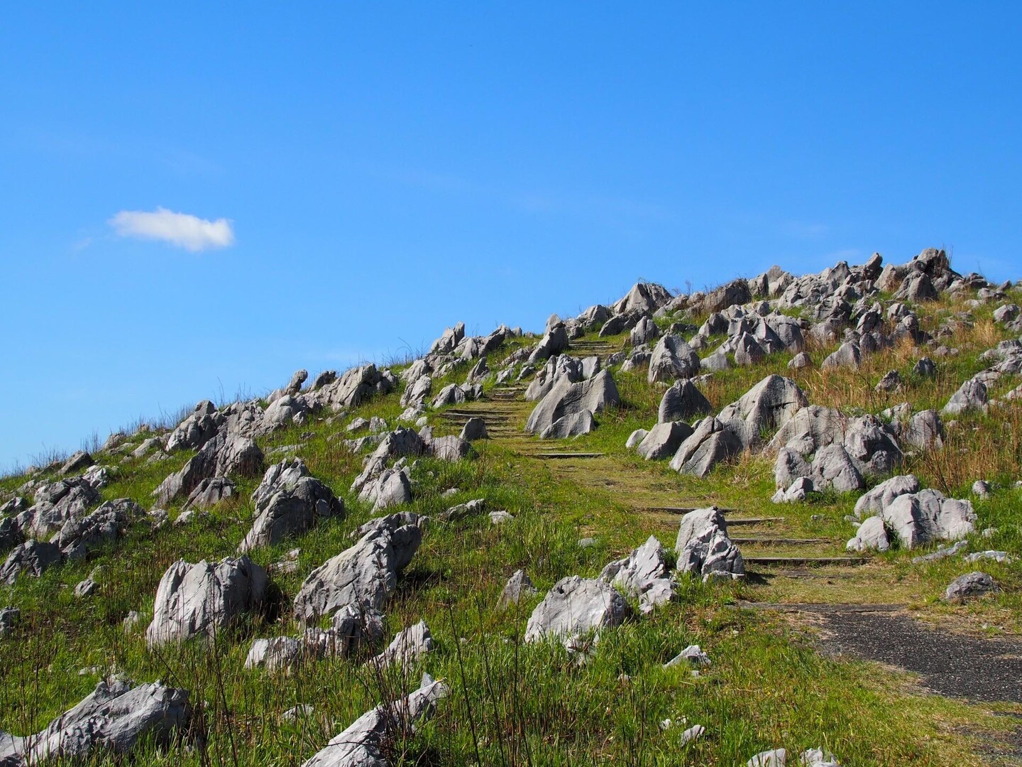 海峡越えてぐるっと秋吉台 @北山・冠山・地獄台・烏帽子岳・れんげ山・剣山・小剣山 / saccoさんの秋吉台の活動データ | YAMAP / ヤマップ