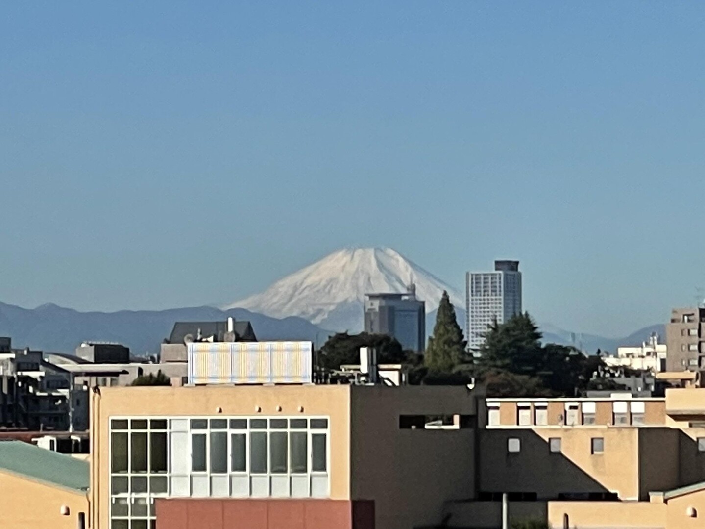 青空に富士山 丹沢の雪もまだ残っています... / nekoyamaさんのモーメント | YAMAP / ヤマップ