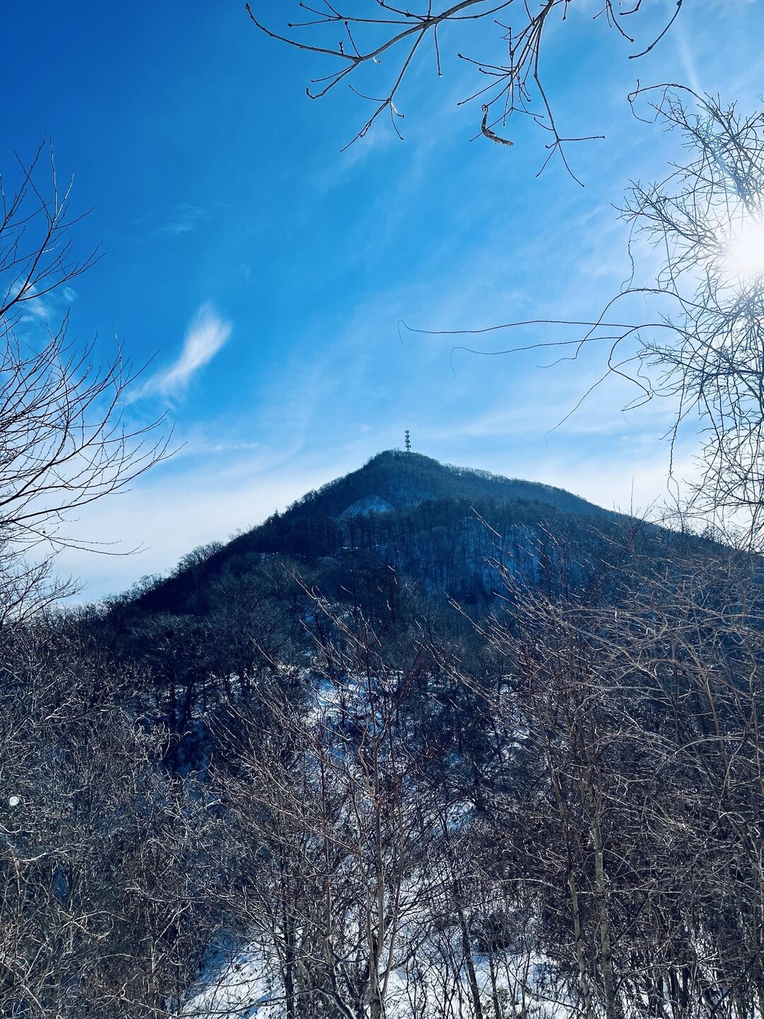 快晴🔵 藻岩山・山鼻山 / バンブーさんの藻岩山の活動日記 | YAMAP / ヤマップ