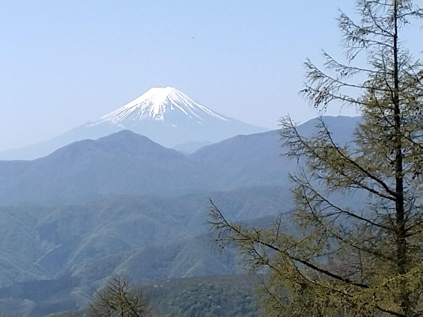 ヨモギノ頭・小雲取山・雲取山・七ツ石山 / kouたん003さんの雲取山・鷹ノ巣山・七ツ石山の活動データ | YAMAP / ヤマップ