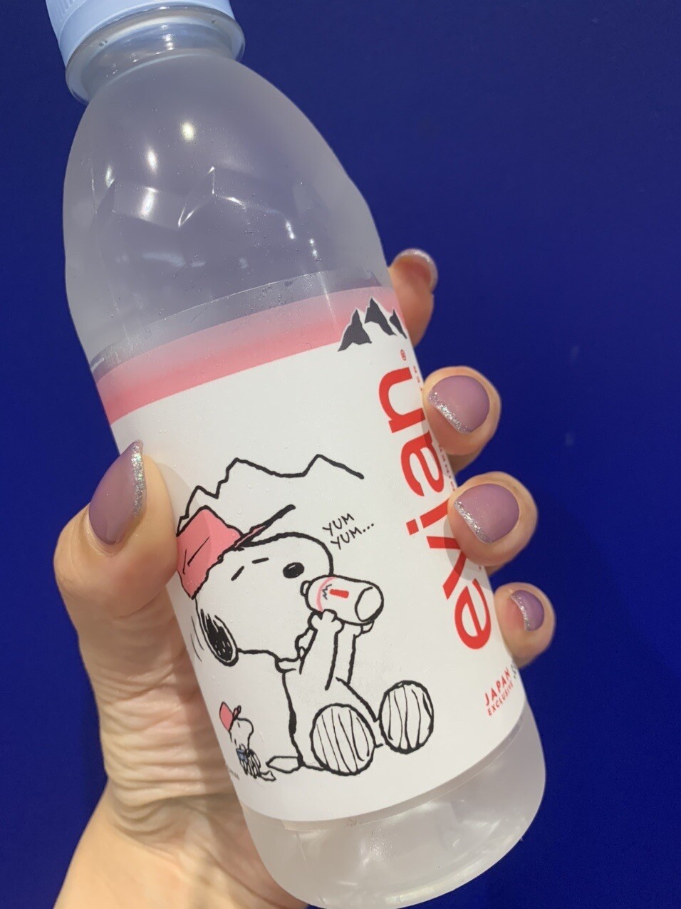 SNOOPYがお山に登ってる / さちこさんのモーメント | YAMAP / ヤマップ