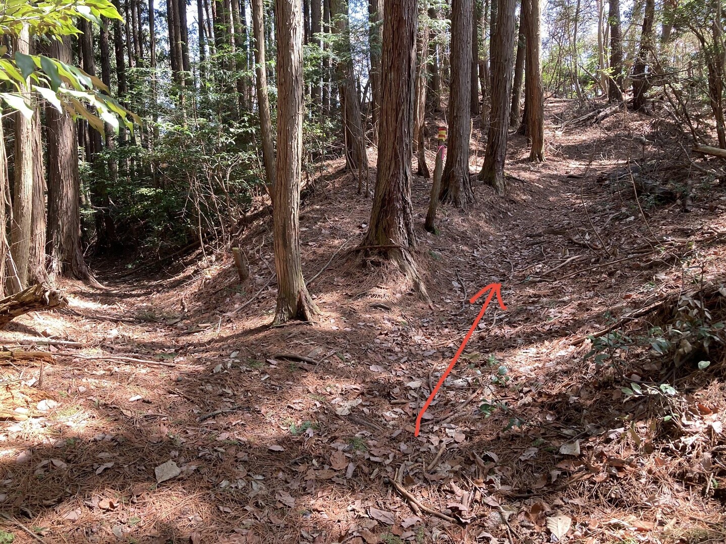 kazz309さんの投稿したフィールドメモ | YAMAP / ヤマップ