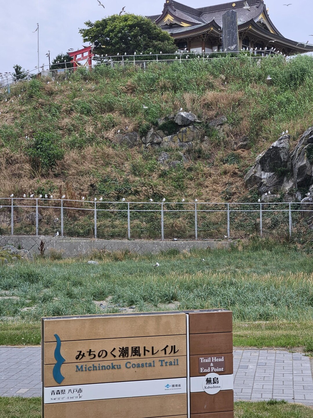 名久井岳 -2024-06-30 / yamaGさんの名久井岳 の活動データ | YAMAP / ヤマップ