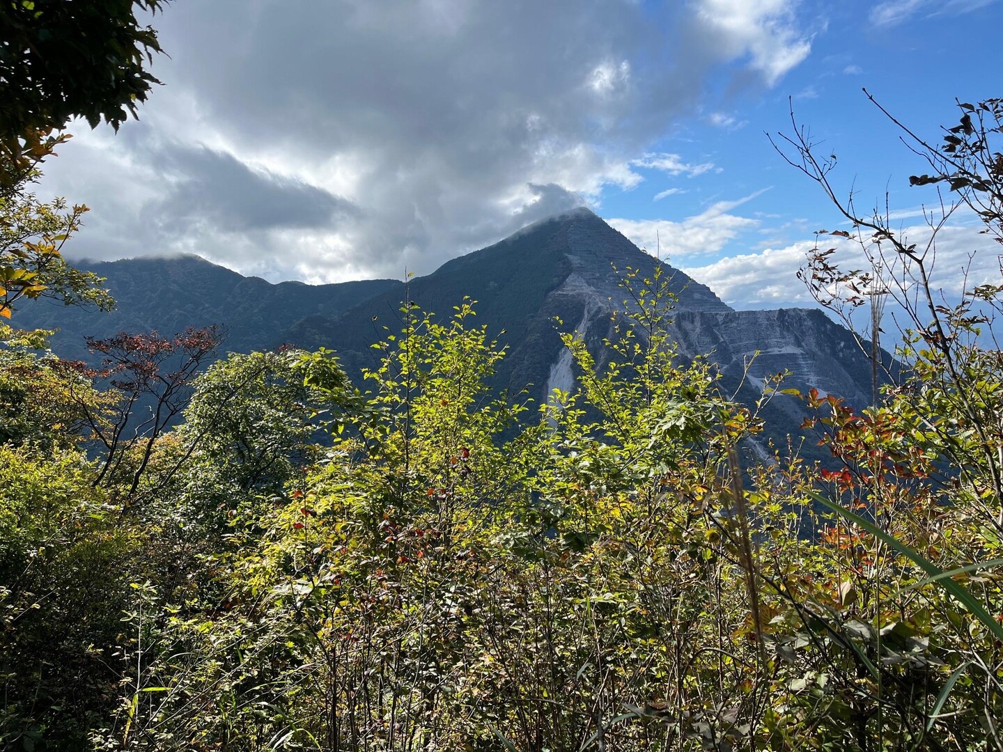 武川岳-(横瀬)二子山 / Y-kobaさんの武甲山・伊豆ヶ岳・小持山の活動日記 | YAMAP / ヤマップ