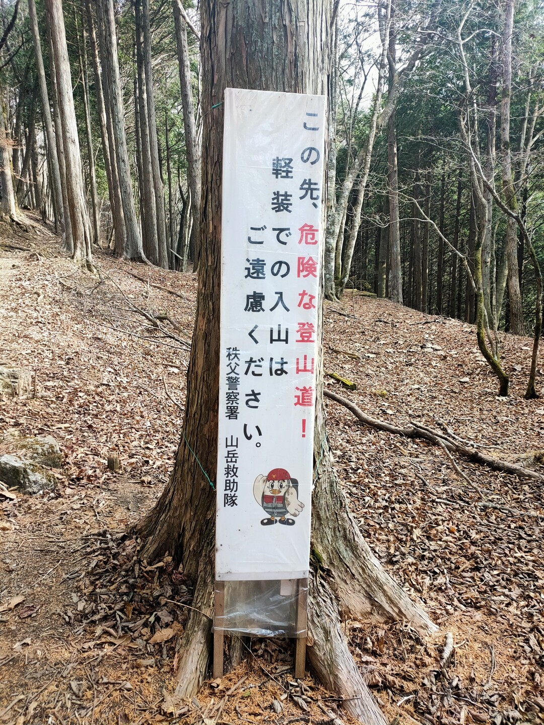 Mamincoさんの投稿したフィールドメモ | YAMAP / ヤマップ