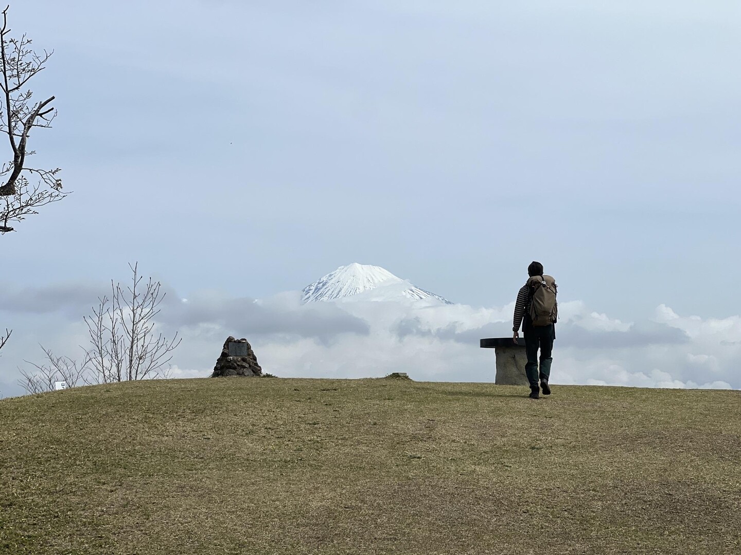 浜石岳 / ayakaさんの薩埵峠（薩た峠・サッタ峠）・浜石岳の活動データ | YAMAP / ヤマップ