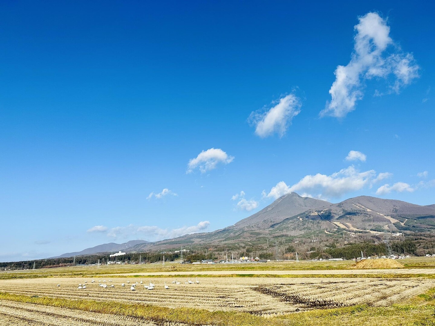 サイクリング・イナファン / Komeさんの磐梯・猪苗代ナショナルパークサイクルウェイの活動データ | YAMAP / ヤマップ