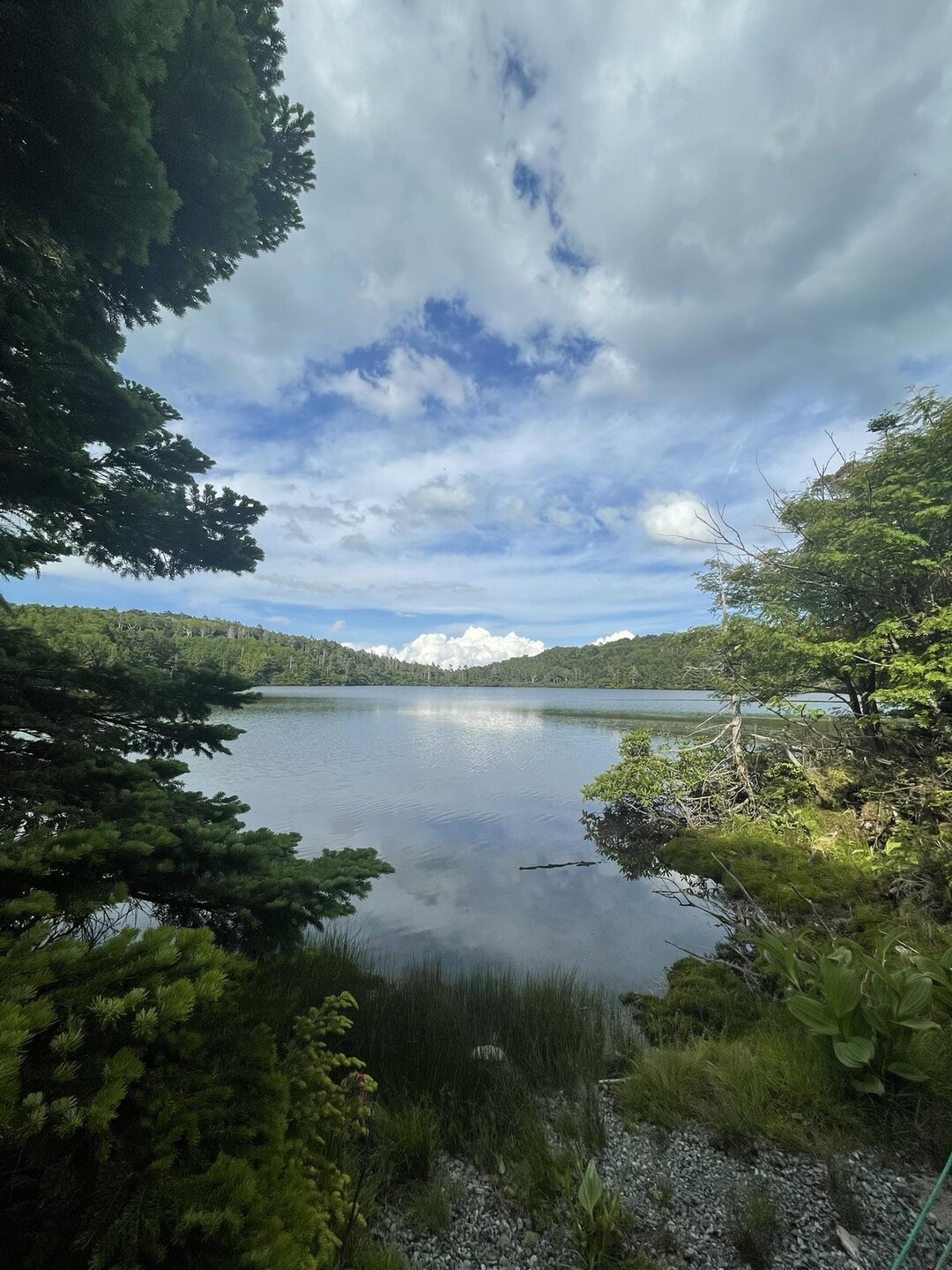 中小場・茶臼山・縞枯山・ニュウ / askさんの蓼科山・横岳・縞枯山の活動データ | YAMAP / ヤマップ