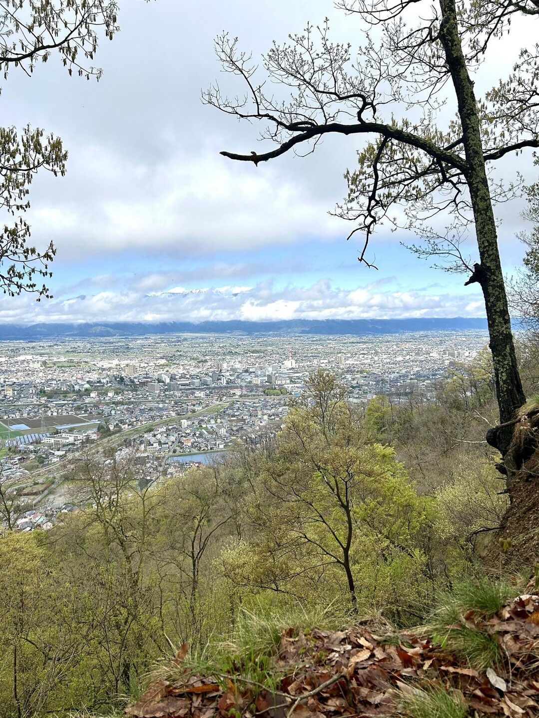 裏山ランニング。新緑の季節。 / COOBA / こーばさんのモーメント | YAMAP / ヤマップ