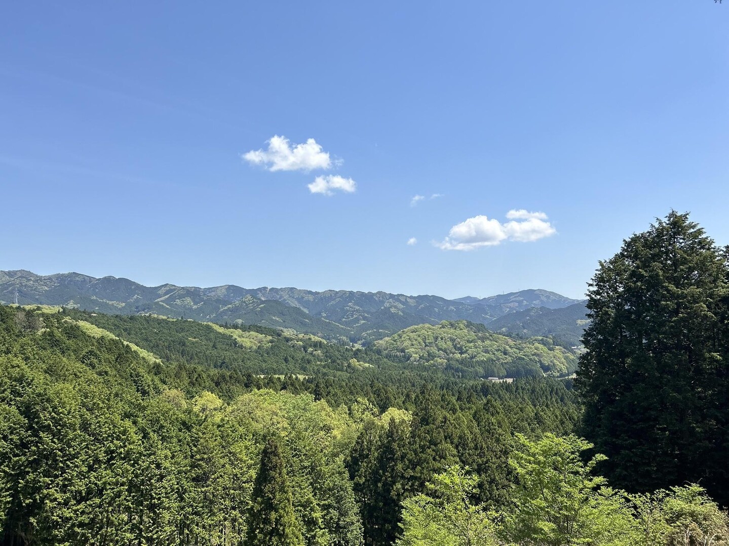 西教山 / annaさんの霊山・西教山の活動データ | YAMAP / ヤマップ