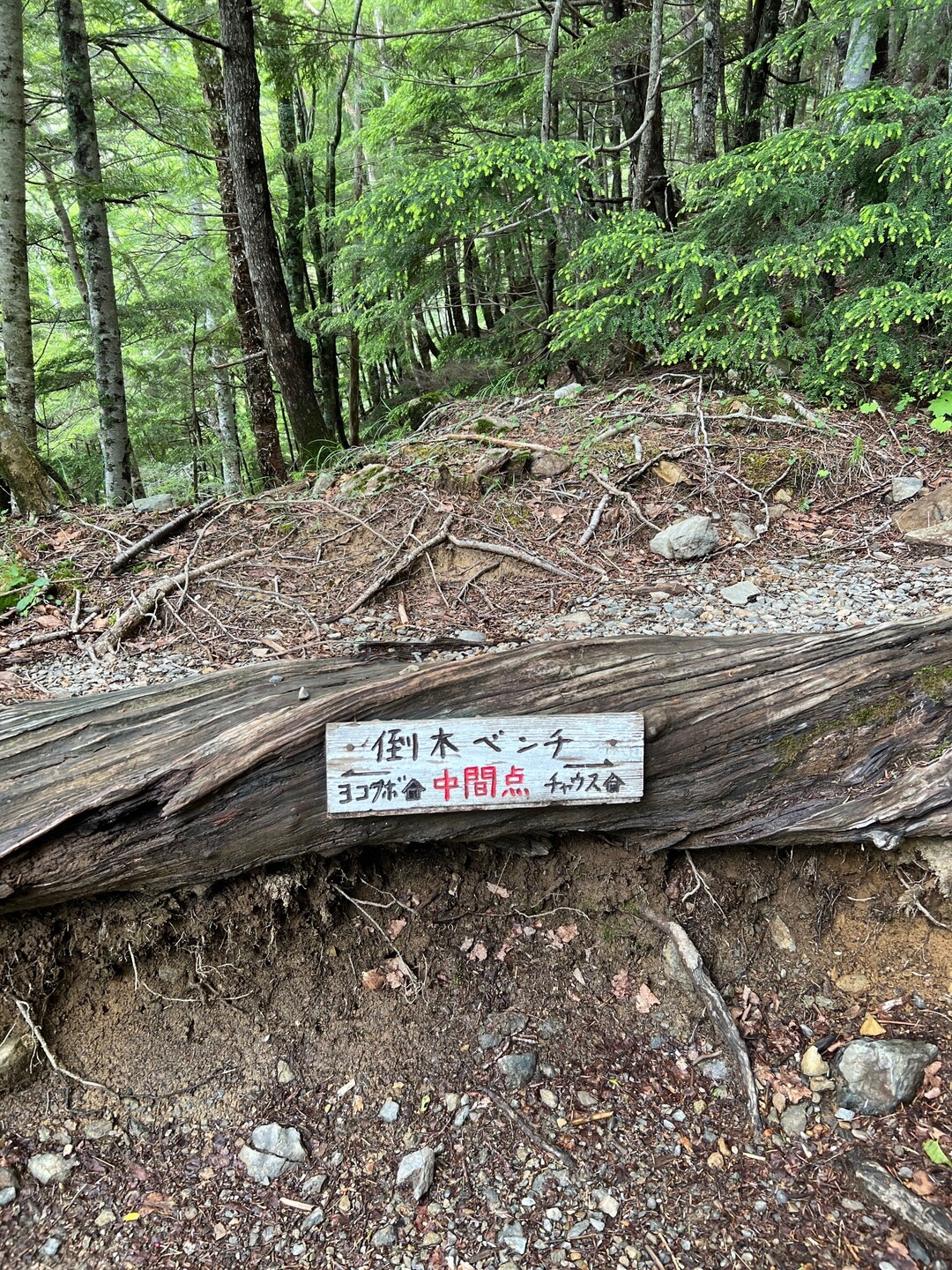 Hal（のぼるたべるあそ部）さんの投稿したフィールドメモ | YAMAP / ヤマップ