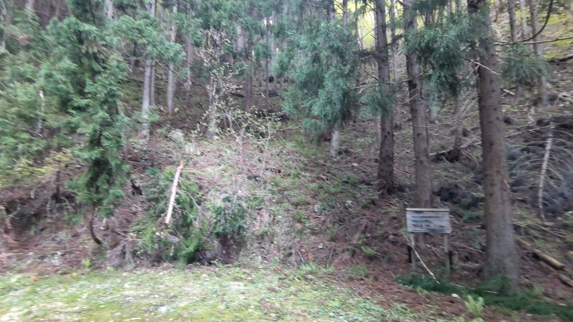 目指せ県境の山 / zaomonsさんの面白山・神室岳・大東岳・雨呼山の活動データ | YAMAP / ヤマップ