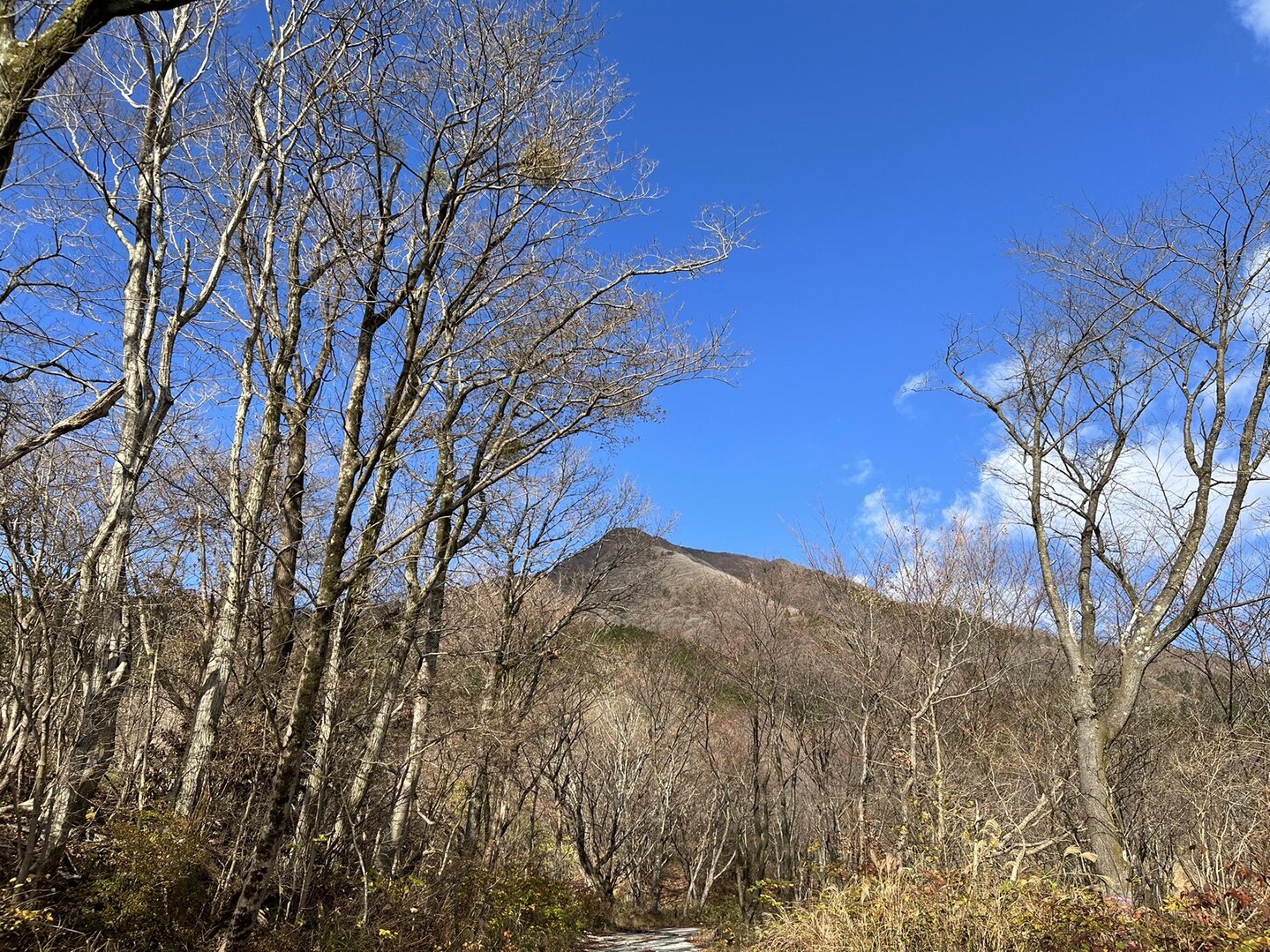 白口岳・鳴子山 / たぁさんの九重山（久住山）・大船山・星生山の活動データ | YAMAP / ヤマップ