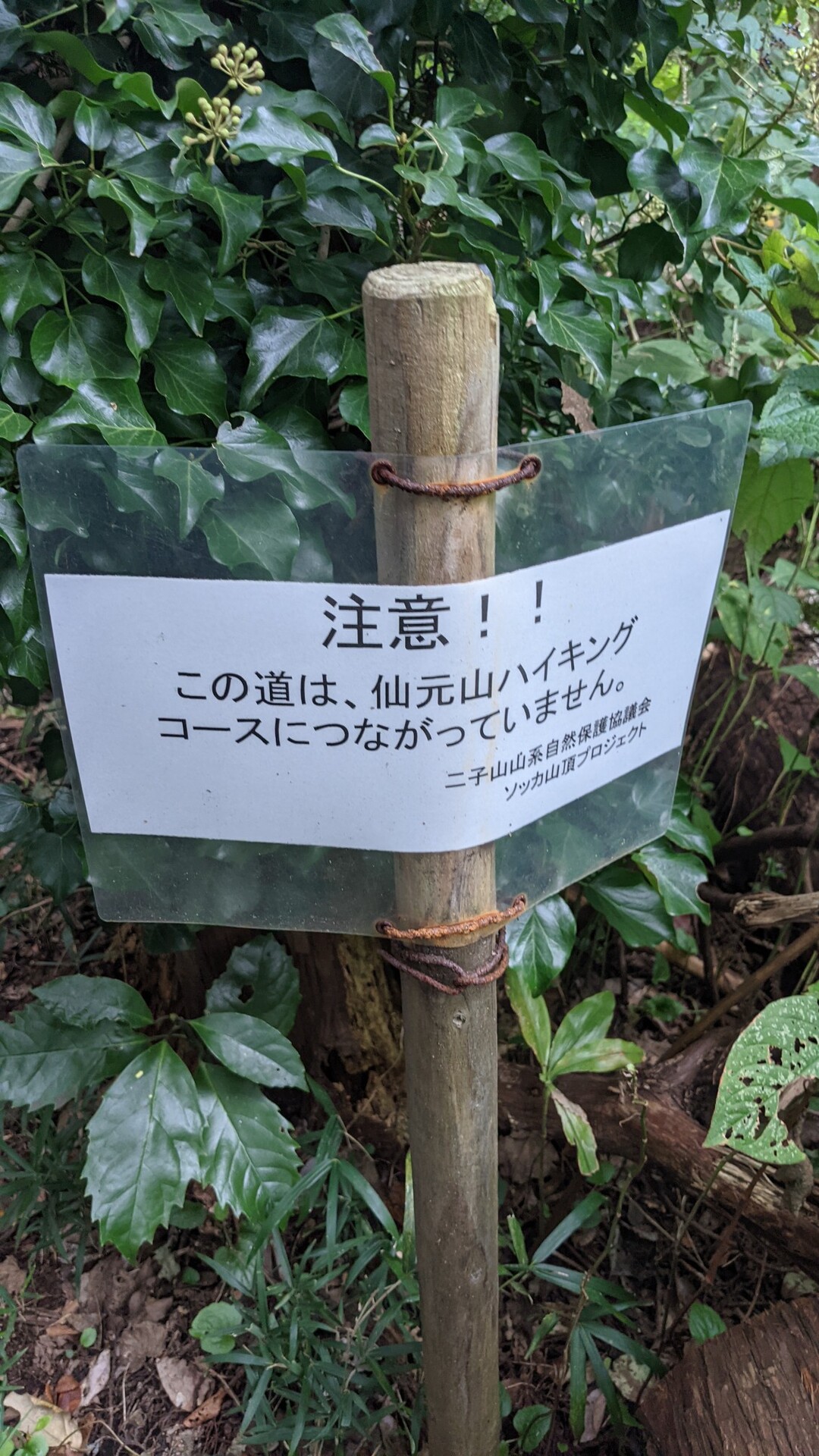 nakameguさんの投稿したフィールドメモ | YAMAP / ヤマップ