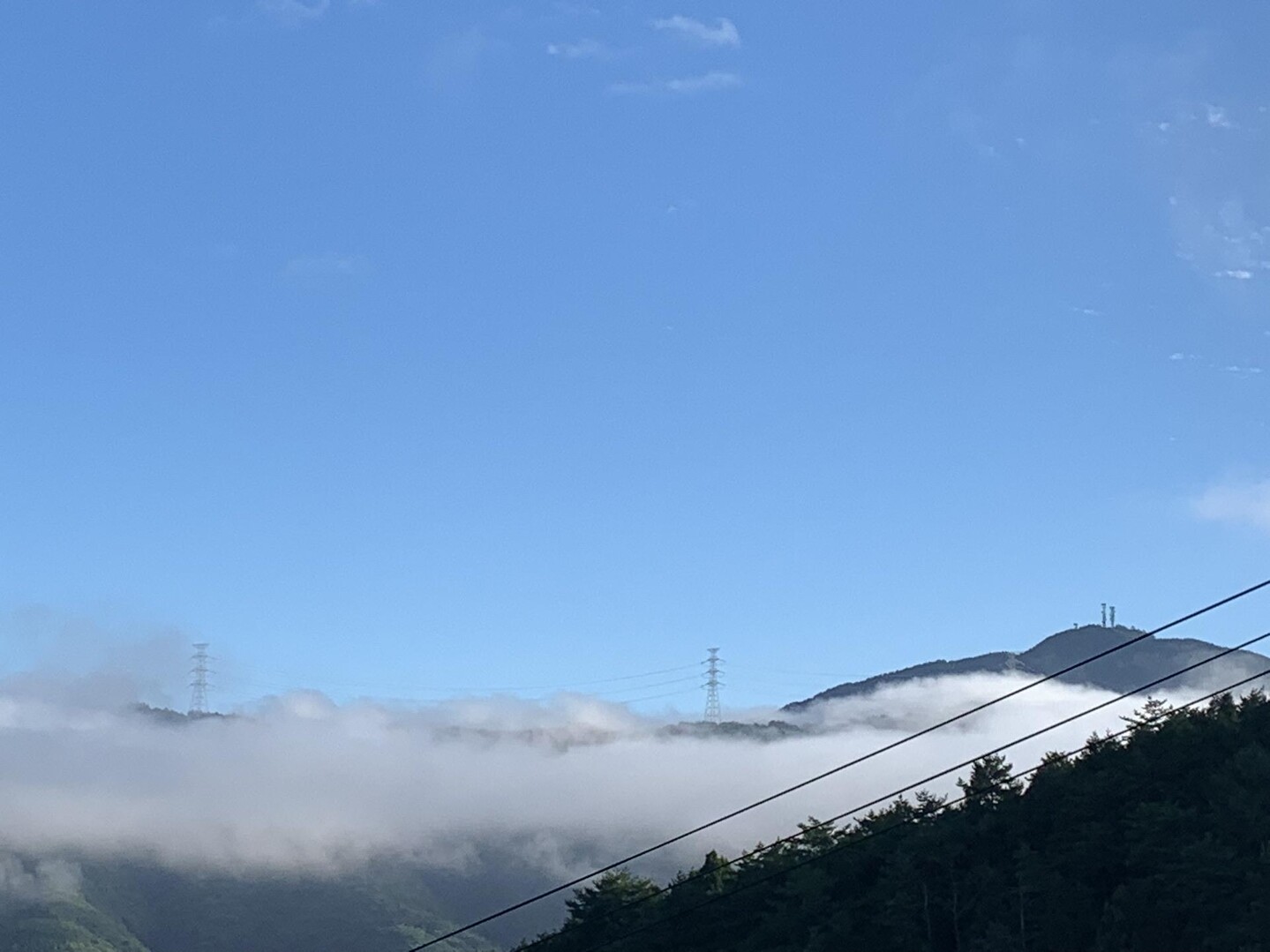 今日も頑張りました👍 歩け歩け歩け運動... / seekaさんのモーメント | YAMAP / ヤマップ