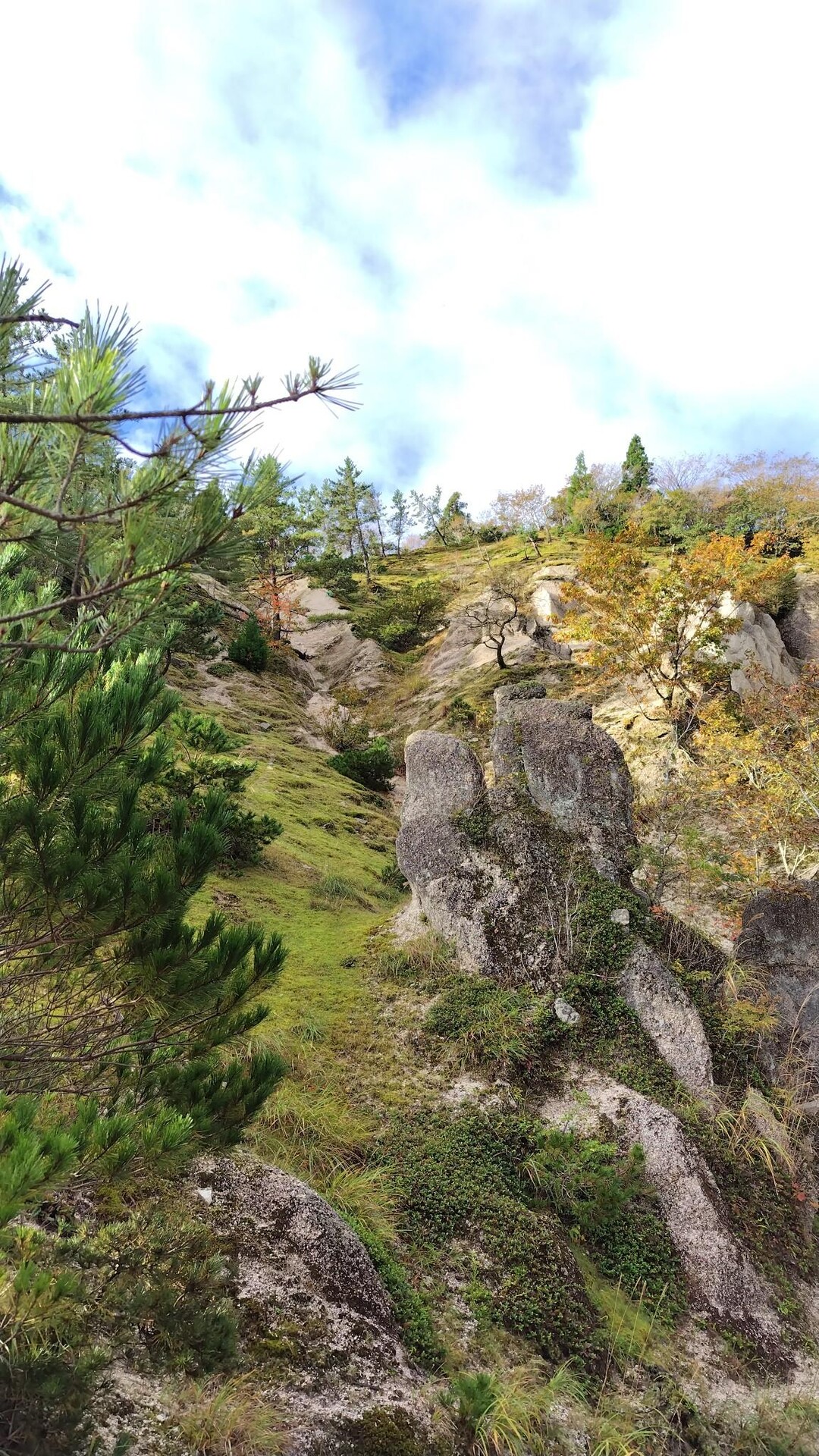 神爾谷ルートで前山・堂満岳 / satohさんの比良山地・武奈ヶ岳・釈迦岳の活動データ | YAMAP / ヤマップ