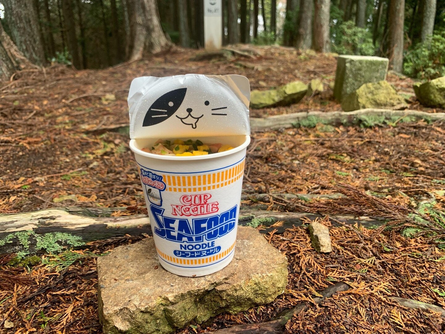 ①宮山(山崎) / kaz-heroさんの長水山・水剣山・水剣槍の活動データ | YAMAP / ヤマップ