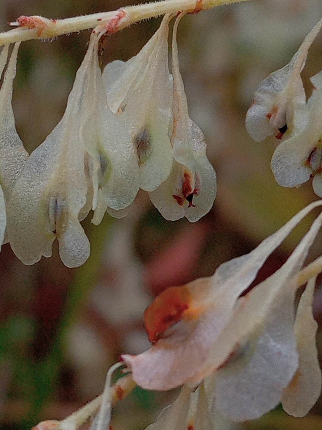 2022.11.21(月) 06:21 / yuusenさんのモーメント | YAMAP / ヤマップ