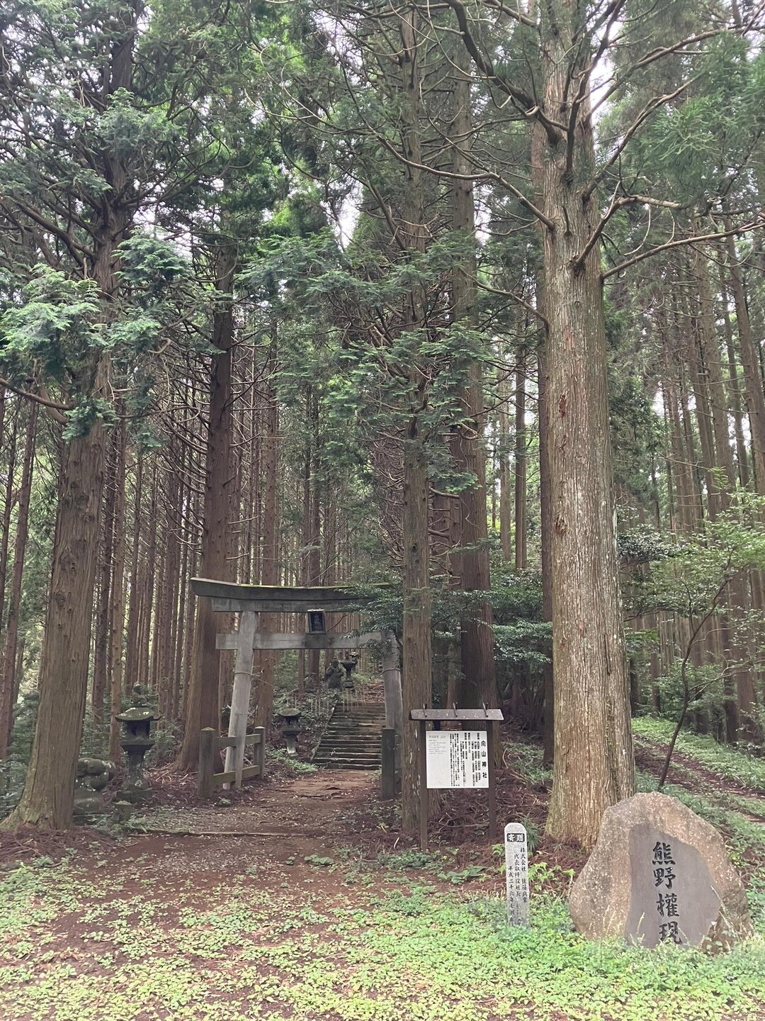 神々の里 神都 高千穂の神社 九番 向山... / クスチャンさんのモーメント | YAMAP / ヤマップ