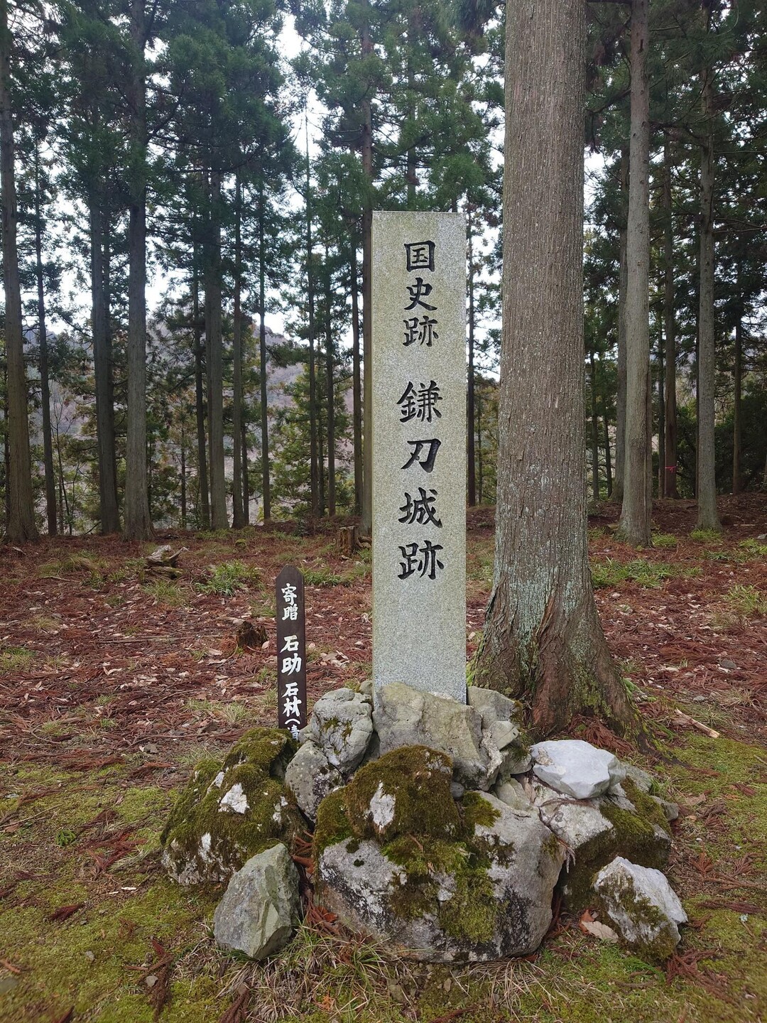 鎌刃城跡-2024-02-18 / Johnさんの太尾山・岩脇山の活動データ | YAMAP / ヤマップ