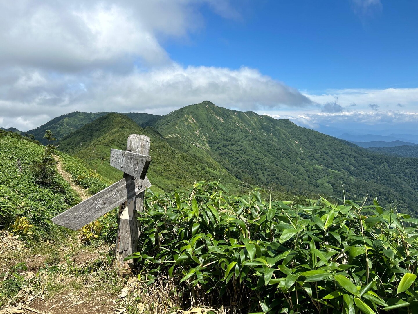 地蔵山・堂岩山・猟師の頭・白砂山・中尾根の頭・黒渋の頭・八間山 / shinさんの白砂山・堂岩山・八間山の活動データ | YAMAP / ヤマップ