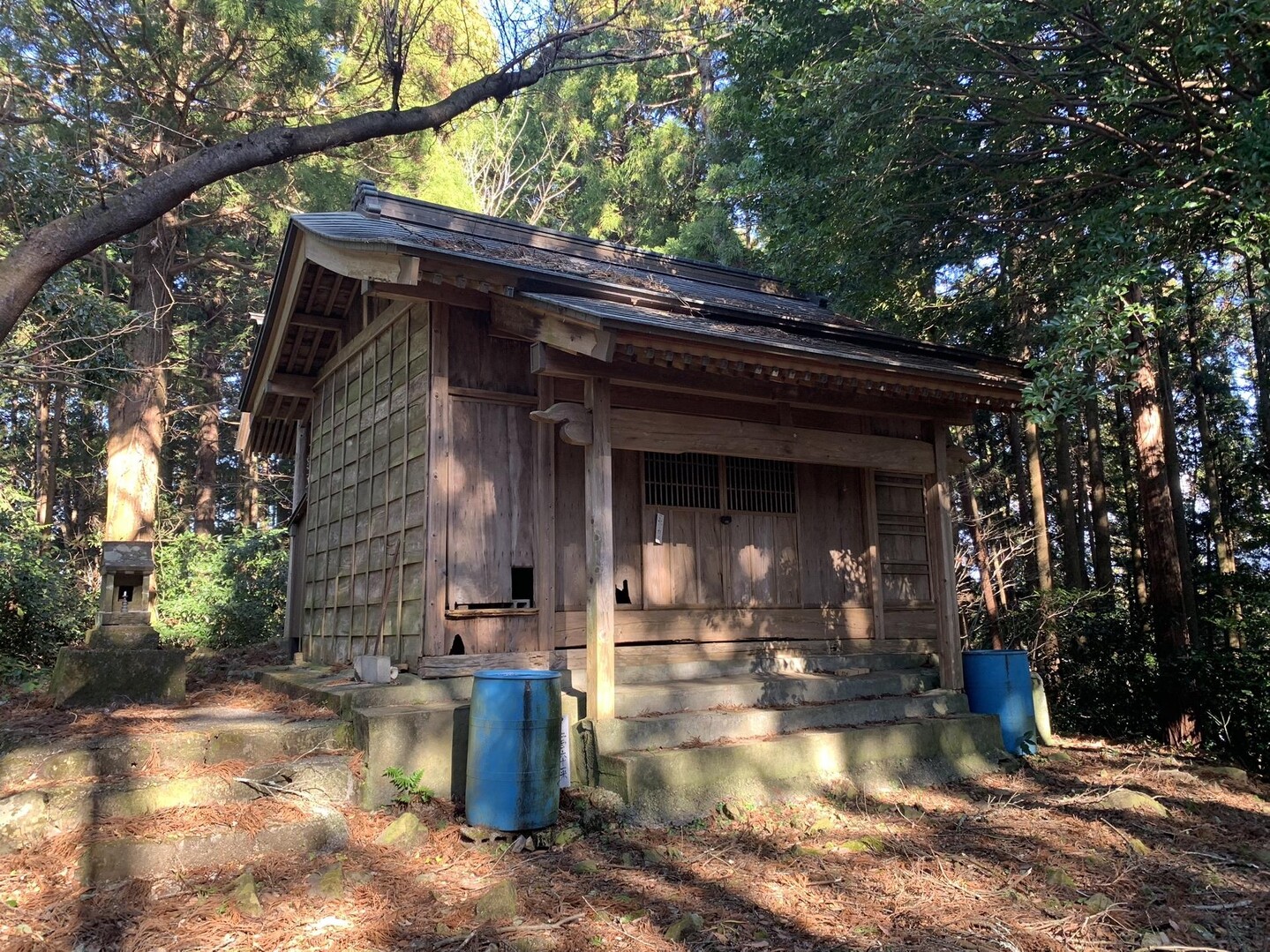 森山 / ta614さんの富士宮市の活動データ | YAMAP / ヤマップ