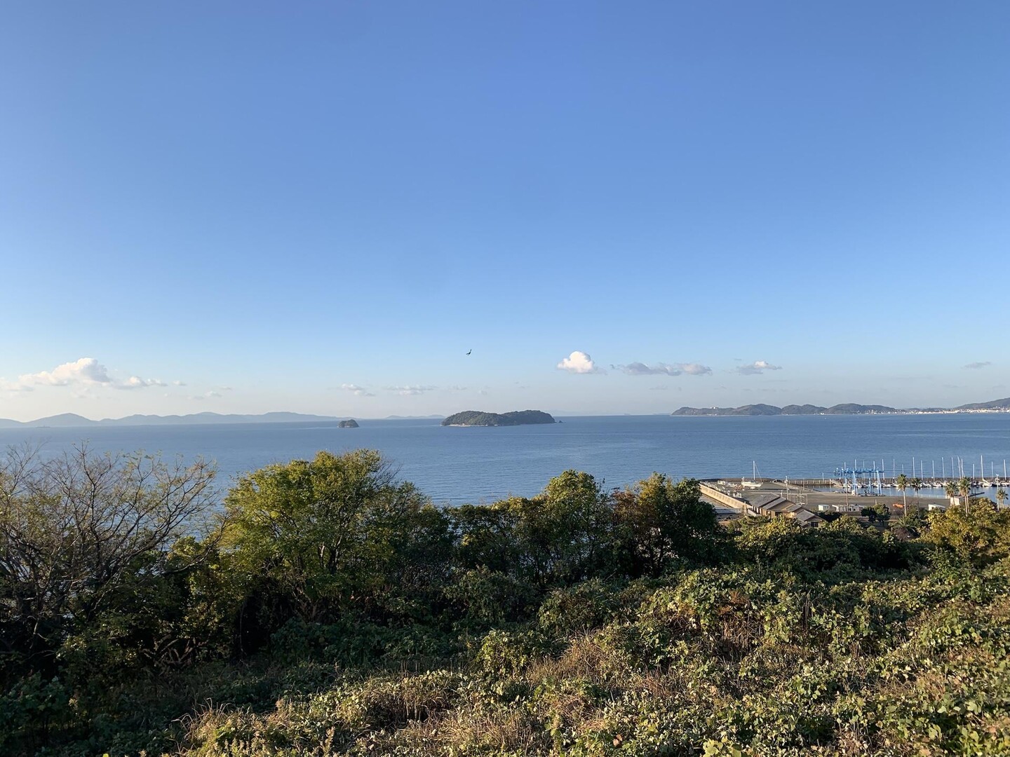 弘法山・乃木山・原山・砥神山・御堂山・五井山 / emikoさんの五井山・宮路山・御堂山の活動データ | YAMAP / ヤマップ