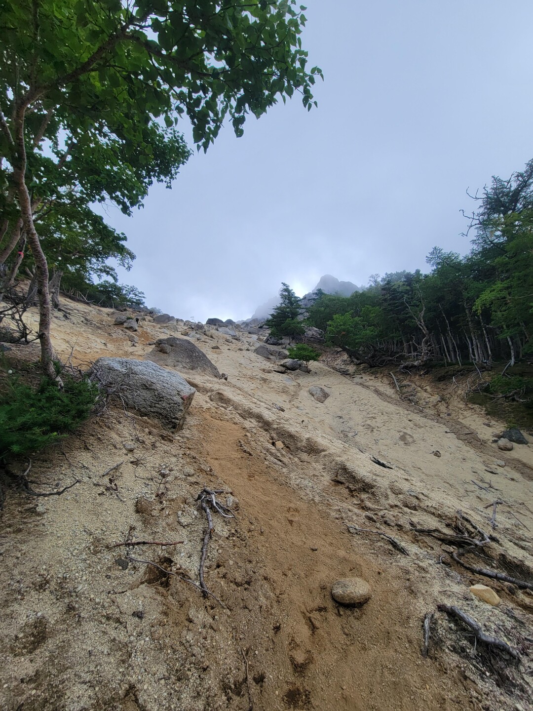 YAMAP始める前の登山記録② 202... / RYU86さんのモーメント | YAMAP / ヤマップ