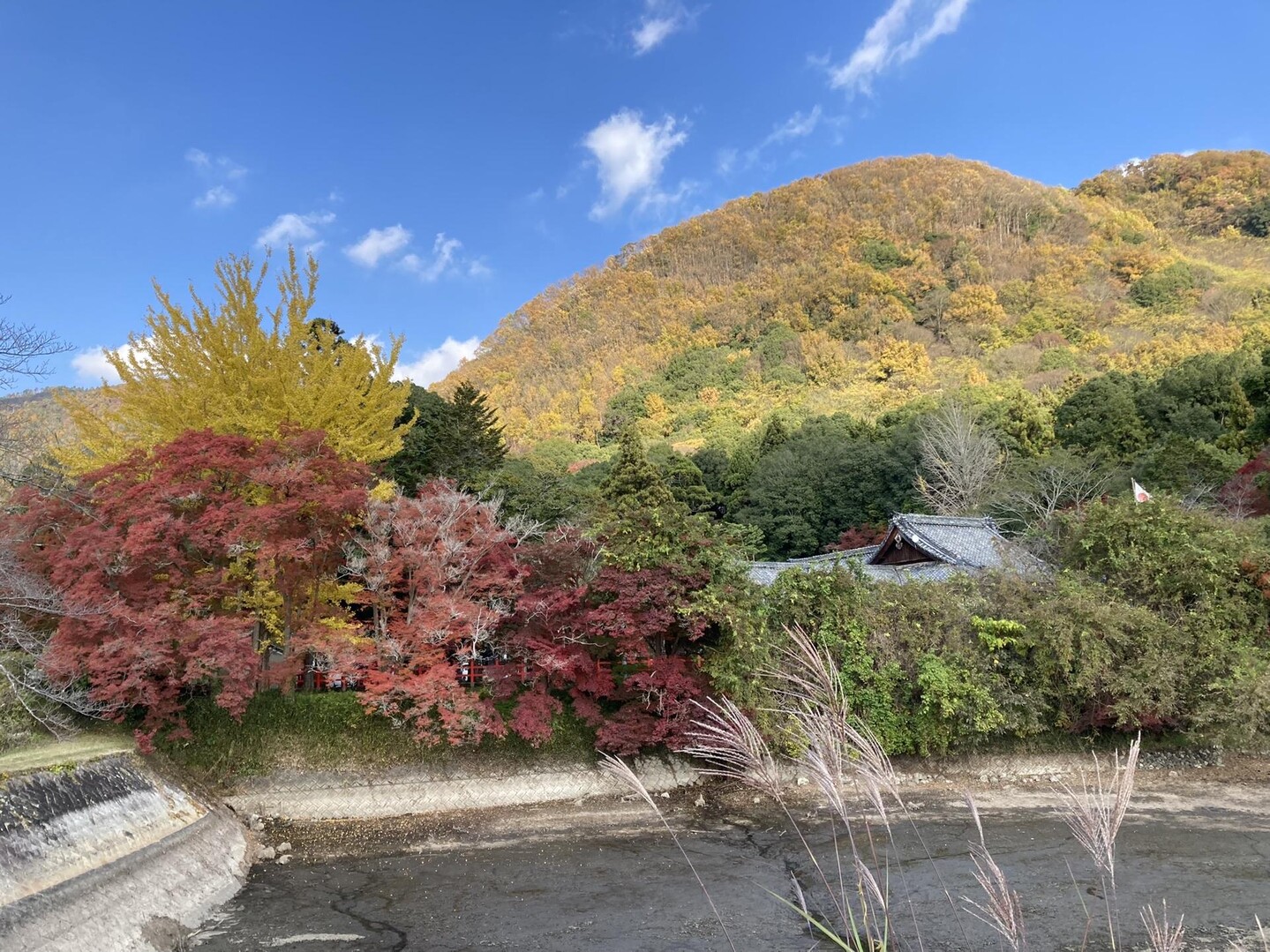 亀岡へ、ドライブ♪ 出雲大神宮へ行ってき... / ゆみさんのモーメント | YAMAP / ヤマップ