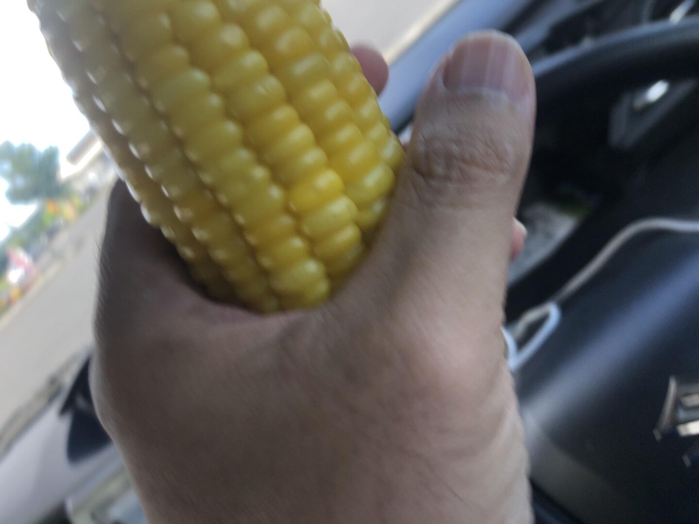 神社山 / mappyさんの当麻山・将軍山の活動データ | YAMAP / ヤマップ