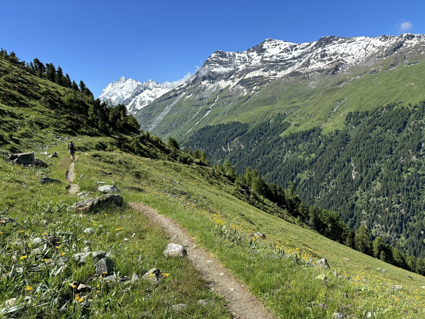 Heute Route4 / boriさんのシャモニーの活動データ | YAMAP / ヤマップ