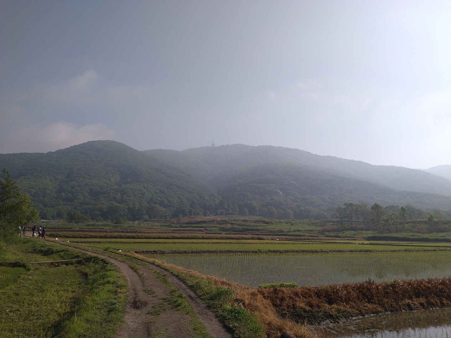 🏞️宝篋山駐車場にトレッキングポールを... / ogapさんのモーメント | YAMAP / ヤマップ