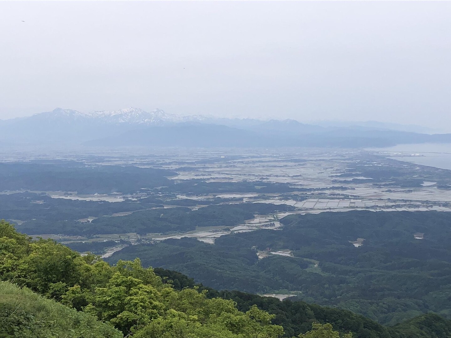 米山 / MOさんの米山の活動データ | YAMAP / ヤマップ