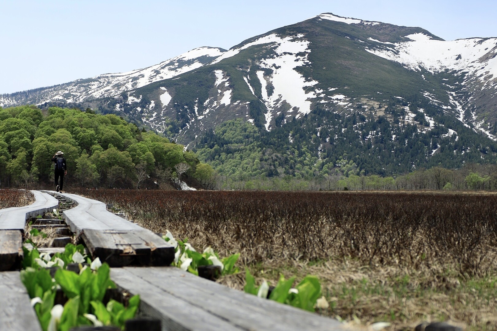 水芭蕉咲く尾瀬ヶ原 / puku68さんの尾瀬・燧ヶ岳の活動データ | YAMAP / ヤマップ