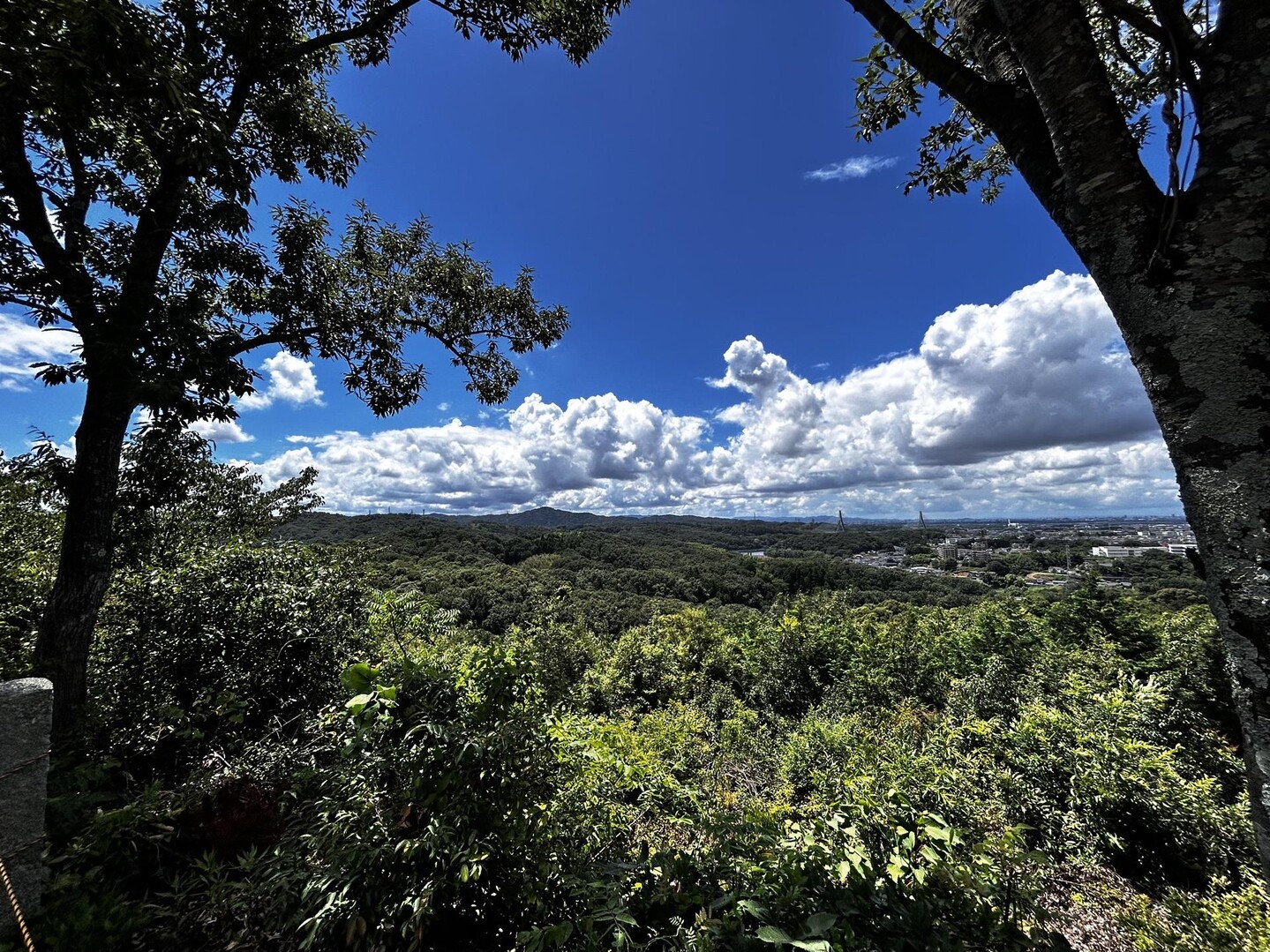グレーのお山 野見山 / ayatonさんの豊田市（中心エリア）の活動日記 | YAMAP / ヤマップ