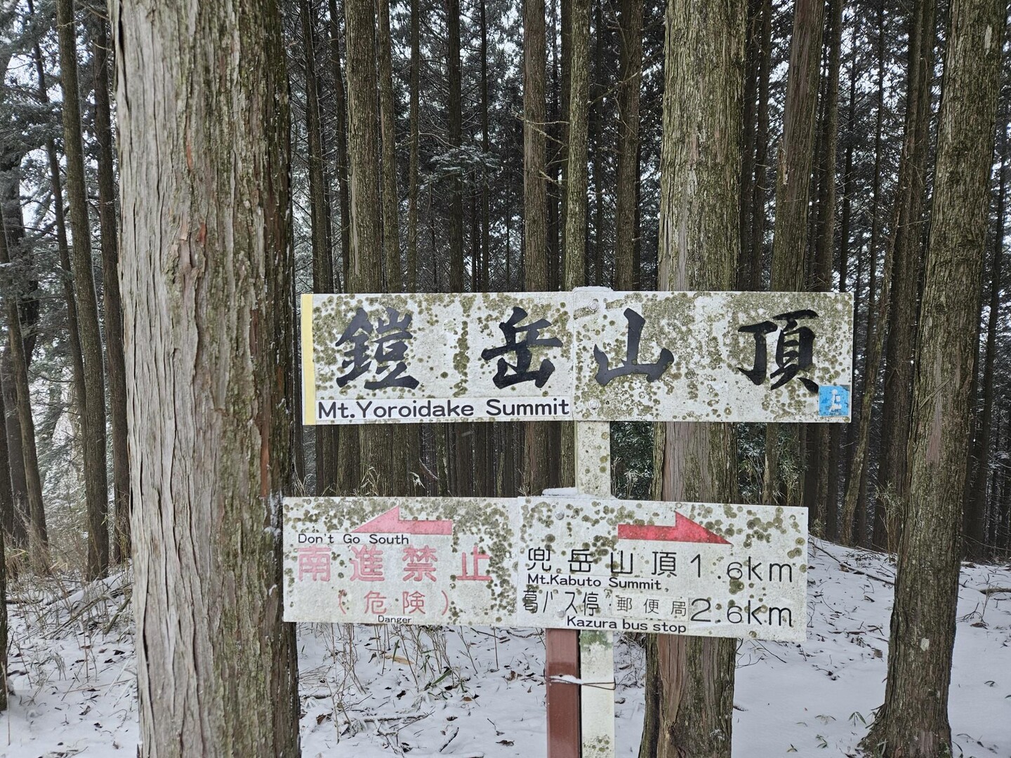 鎧岳・兜岳 / yukimamireさんの倶留尊山・曽爾高原・古光山の活動データ | YAMAP / ヤマップ