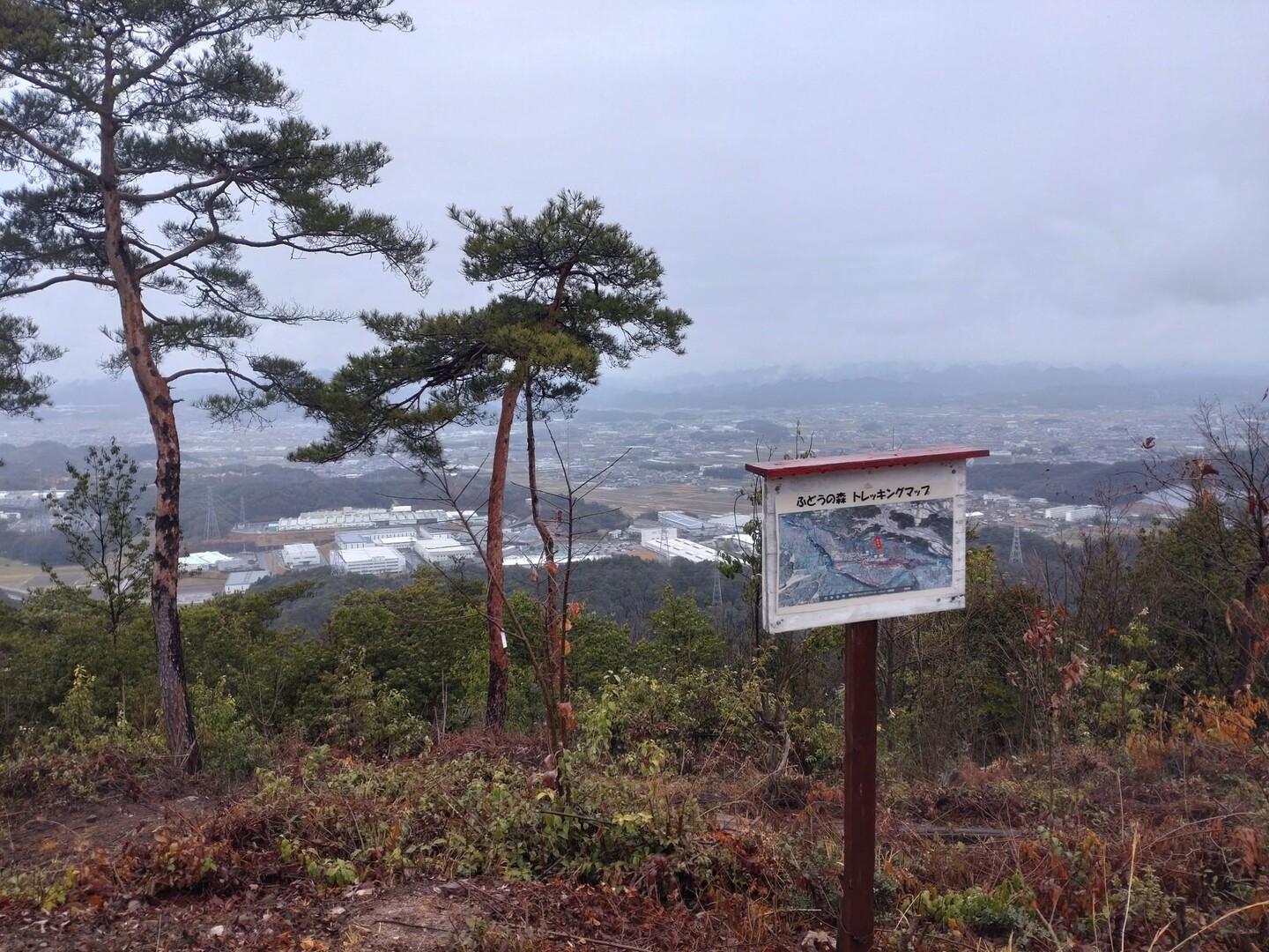 迫間山・明王山・勝山・城山・金比羅山 / ☆ERIN☆さんの各務原アルプス（関南アルプス）・八木三山の活動データ | YAMAP / ヤマップ