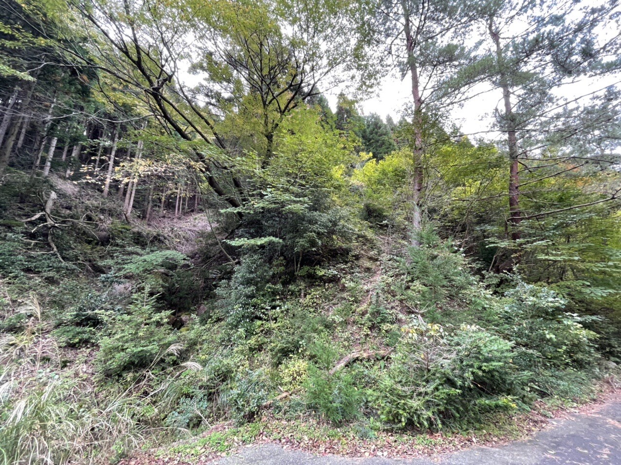 podoryさんの投稿したフィールドメモ | YAMAP / ヤマップ