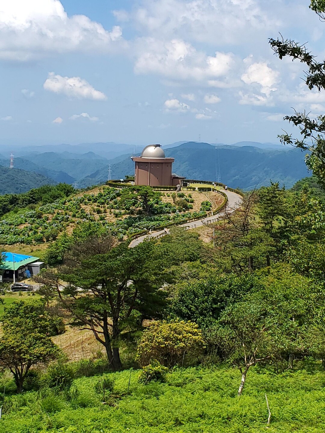 1kmの山登り😓😓😓 / あきさんの大野山の活動データ | YAMAP / ヤマップ