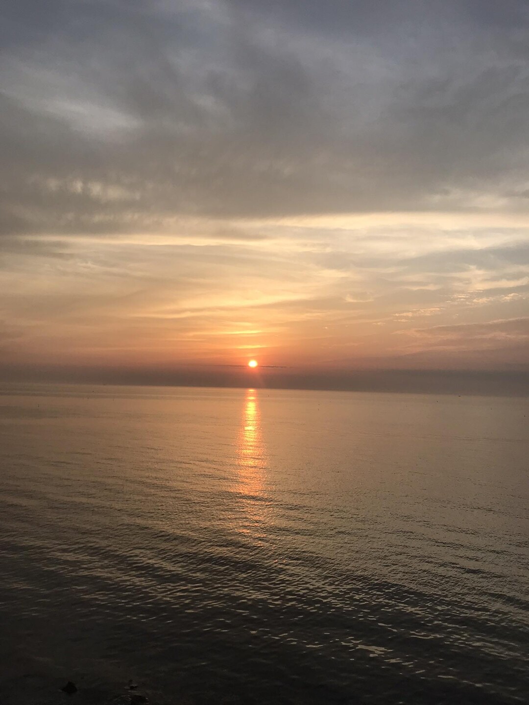 淡路島100キロマラソンは75キロでDNF😭 / サイサイさんの淡路島の活動データ | YAMAP / ヤマップ