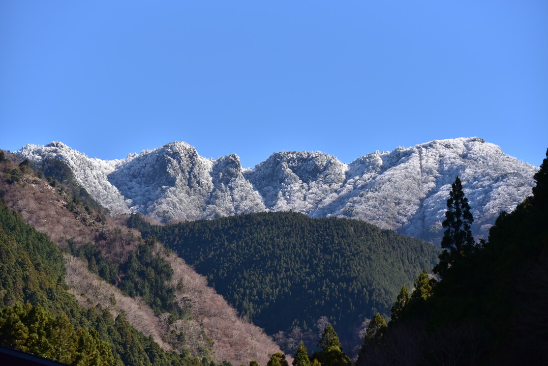 山上ヶ岳の最新登山情報 人気の登山ルート、写真、天気など Yamap ヤマップ
