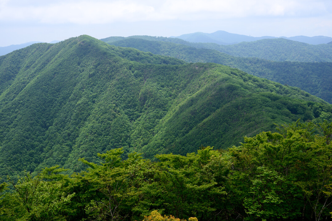 伯母子岳の最新登山情報 人気の登山ルート、写真、天気など Yamap ヤマップ