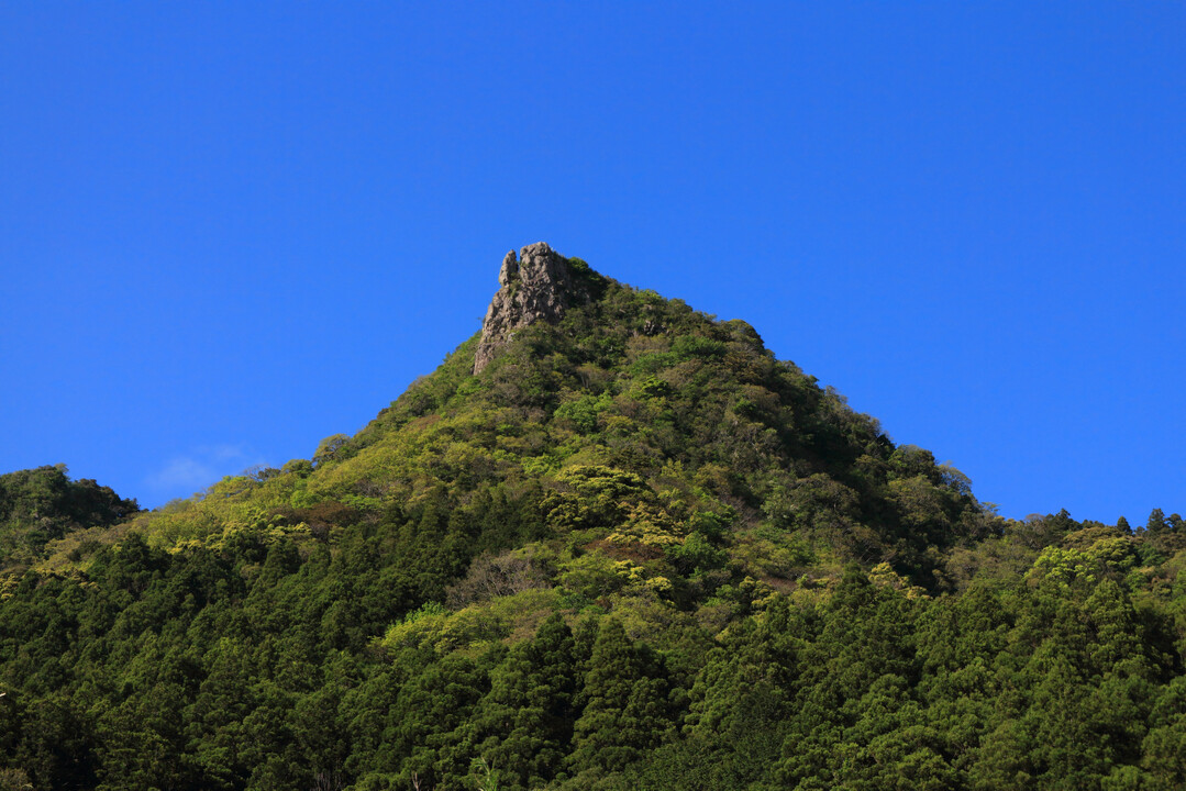 伊予ヶ岳の最新登山情報 人気の登山ルート、写真、天気など Yamap ヤマップ